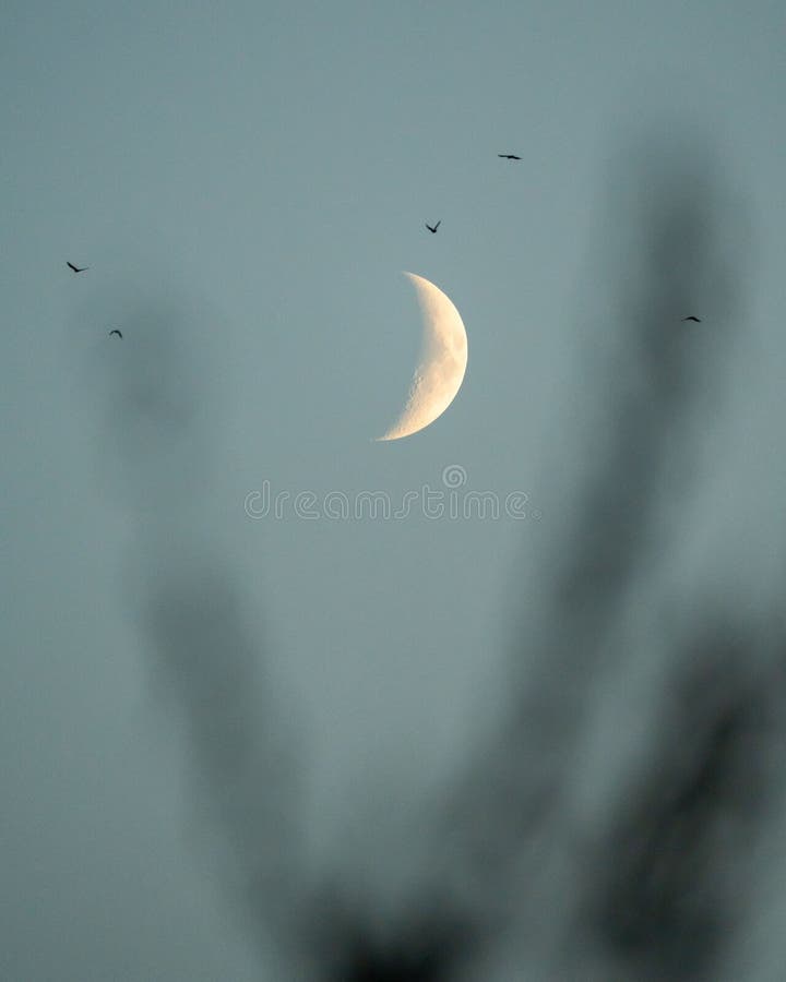 Mesmerizing View of a Moon Eclipse Stock Image - Image of vertical ...