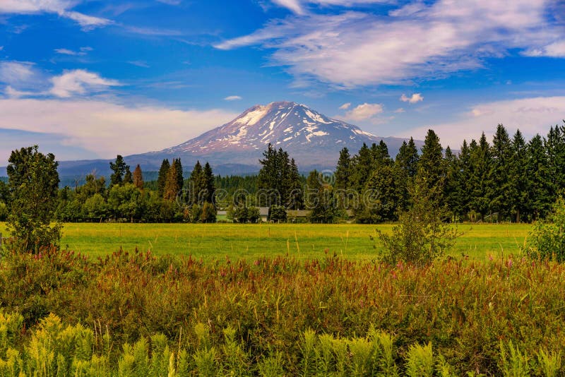 Mesmerizing View of Mount Adams in Washington Stock Photo - Image of ...