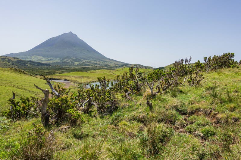 Mesmerizing View of the Pico Volcano in the Azores, Portugal Stock ...