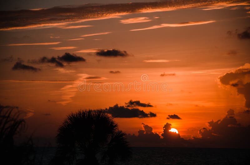Mesmerizing View of the Red Sunset Sky with the Silhouettes of Trees ...