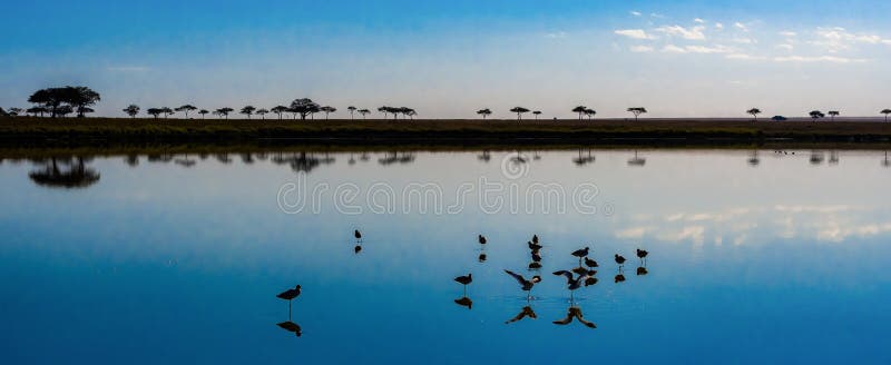 Mesmerizing View Reflection Trees Sky Water Birds Stock Photos - Free ...