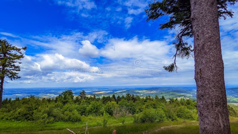Mesmerizing View of Trees and Nature Sceneries Under a Beautiful Sky ...