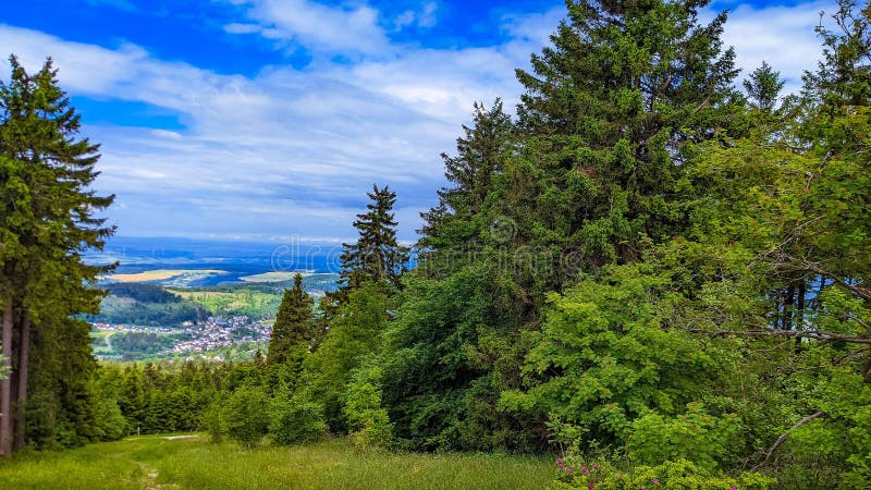 Mesmerizing View of Trees and Nature Sceneries Under a Beautiful Sky ...