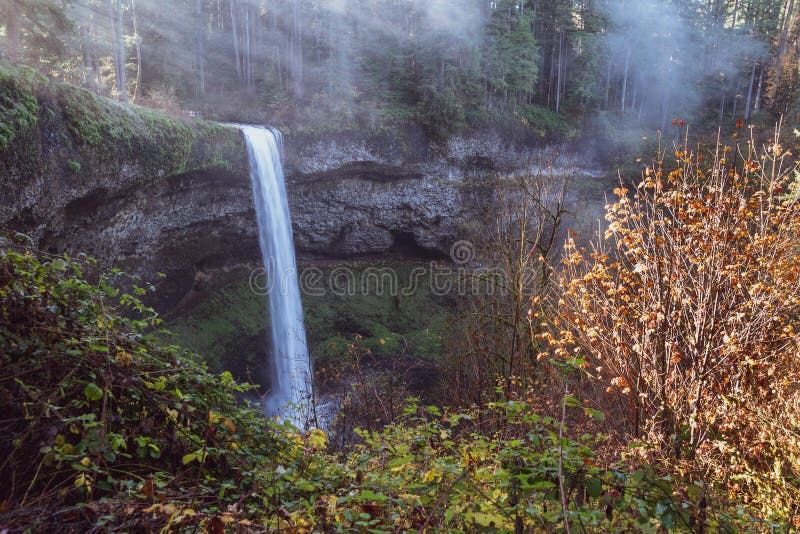 Mesmerizing View of a Waterfall among Trees at Silver Falls State Park ...