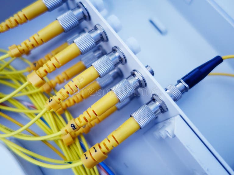 A Mesmerizing Visualization of Fiber Optic Cables Connecting Stock ...