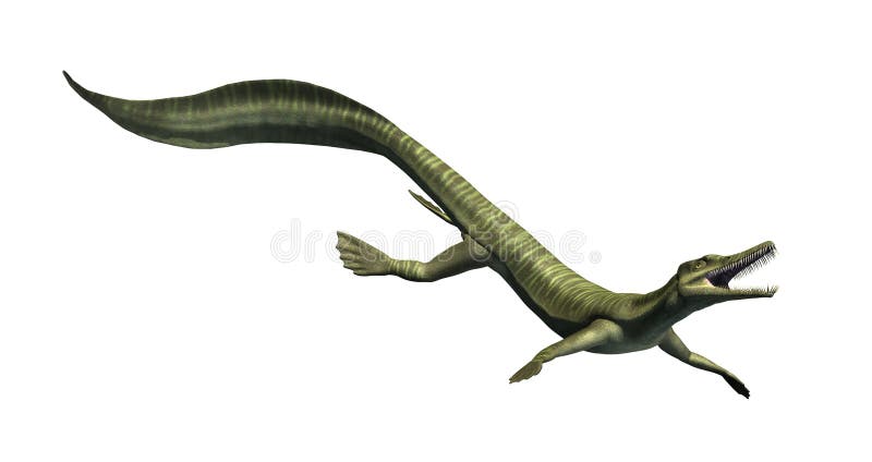 Mesosaurus - Aquatic Dinosaur Stock Illustration - Illustration of ...