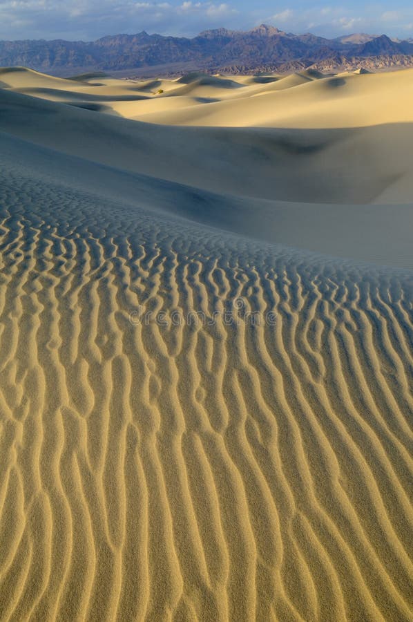 Mesquite Flat Sand Dunes stock photo. Image of valley - 12683854