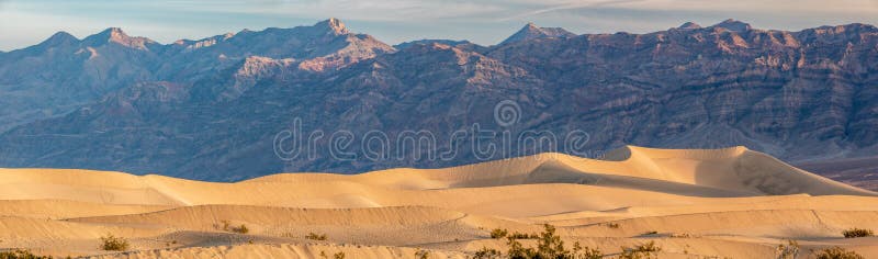 Mesquite Flat Sand Dunes stock photo. Image of mesquite - 274602290