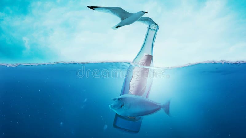 Message in Bottle Underwater with Fish and Seagull Stock Video - Video ...