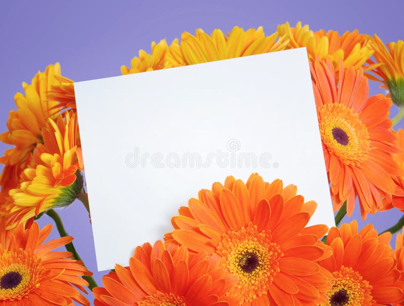 Message in a Bouquet of Flowers Stock Photo - Image of petal, bright ...
