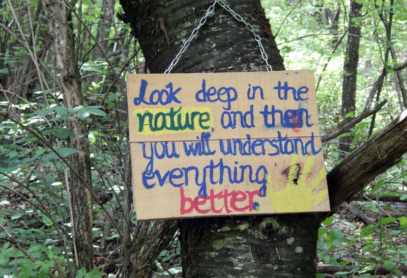 Message of nature stock image. Image of seedling, frame - 24257219