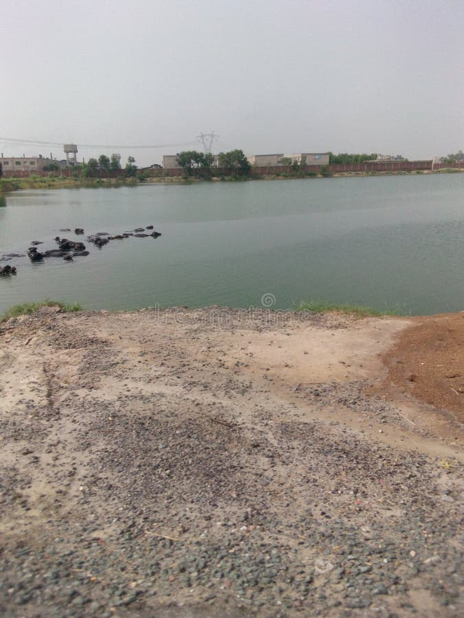 Messan Stock Photos - Free & Royalty-Free Stock Photos from Dreamstime