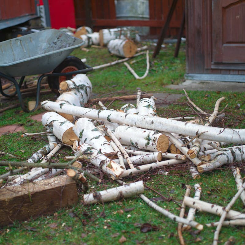 924 Messy Backyard Stock Photos - Free & Royalty-Free Stock Photos from ...