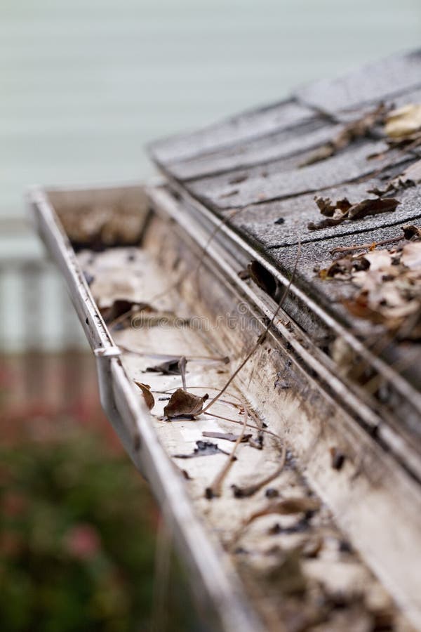Messy Corner Gutter stock photo. Image of shingle, corner - 29403210