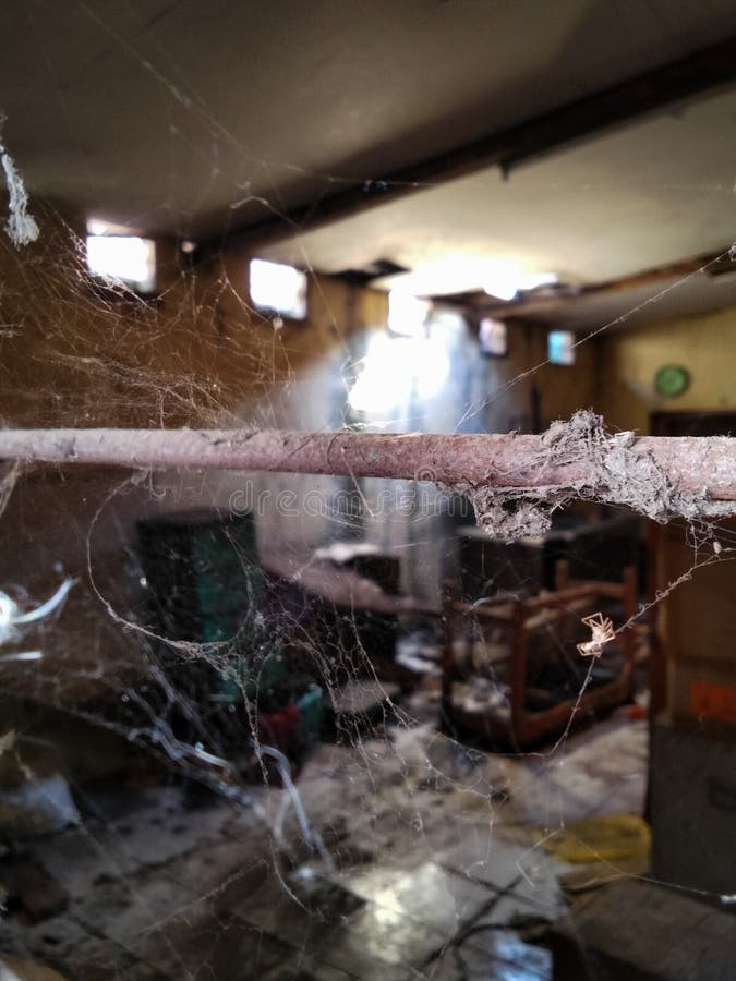 A Messy Empty House, There are Spider Webs Visible on the Windows Stock ...