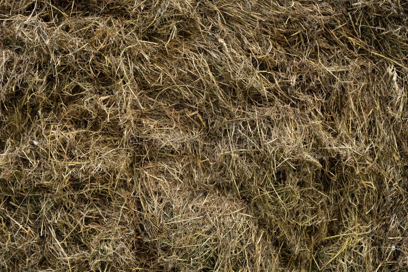 Messy Hay Stack Texture Topview Stock Photo - Image of countryside ...