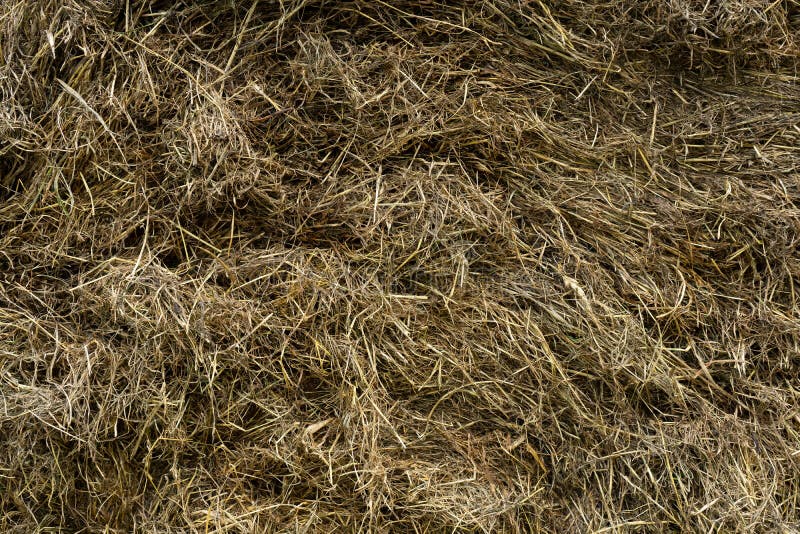 Messy Hay Stack Texture Topview Stock Photos - Free & Royalty-Free ...