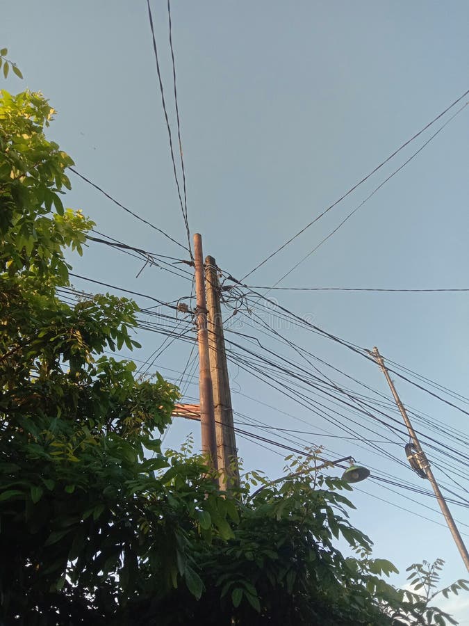 Messy power lines stock photo. Image of tree, lines - 264298384