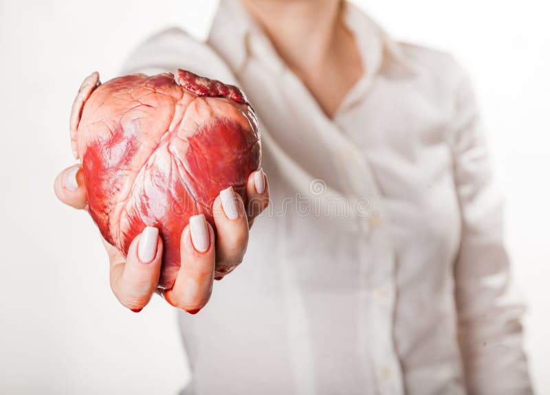 Echt hart stock foto. Image of bloed, vlees, gastronomisch - 40710152