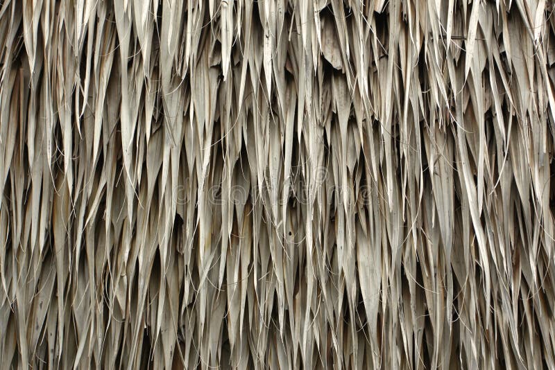 Met stro bedekt Dak stock afbeelding. Image of droog - 28401775