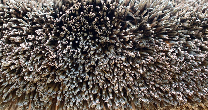 Met Stro Bedekte Dak Hoogste Textuur Stock Afbeelding - Image of ...