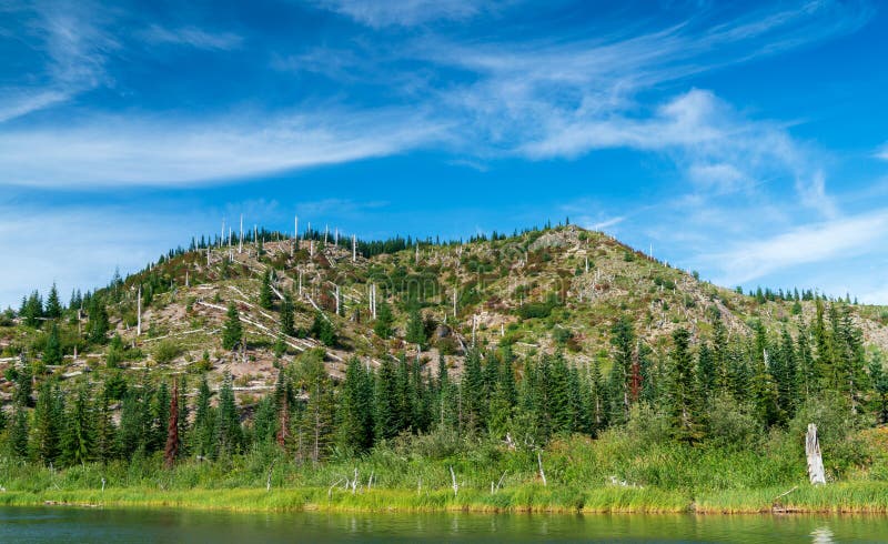 Meta Lake in Washington State Stock Image - Image of nature, spain ...