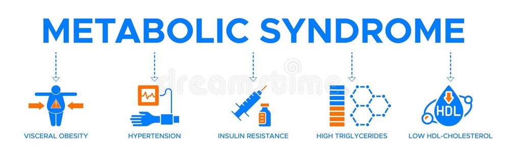 Metabolic Health Line Drawing Stock Illustrations – 55 Metabolic Health ...
