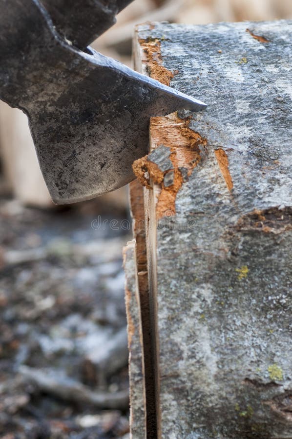 Metal axe for cutting logs stock photo. Image of natural - 235750854