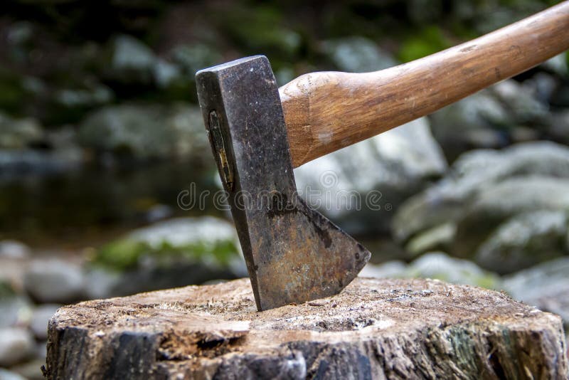 Metal axe stuck in a tree stock photo. Image of isolated - 170763100