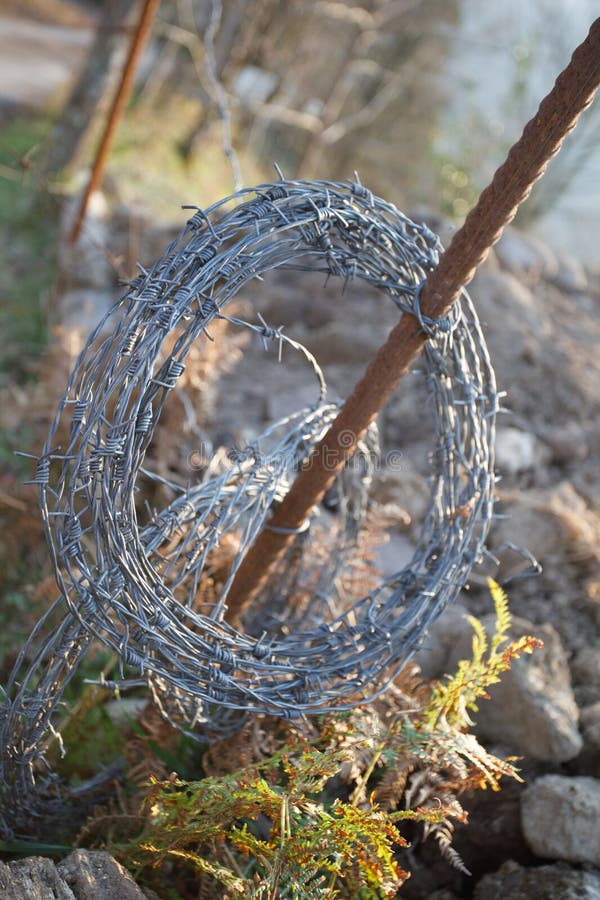 Metal Barbed Wire Coil Outdoors Stock Photo - Image of circular ...