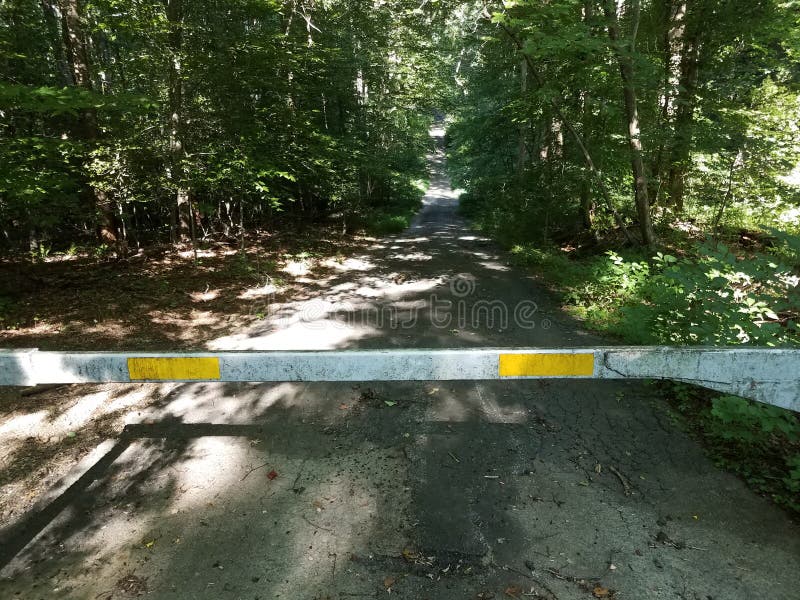 Metal Barrier with Asphalt Path and Trees in Forest or Woods Stock ...
