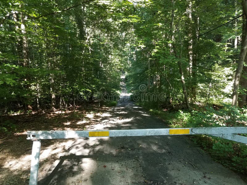 Metal Barrier with Asphalt Path and Trees in Forest or Woods Stock ...