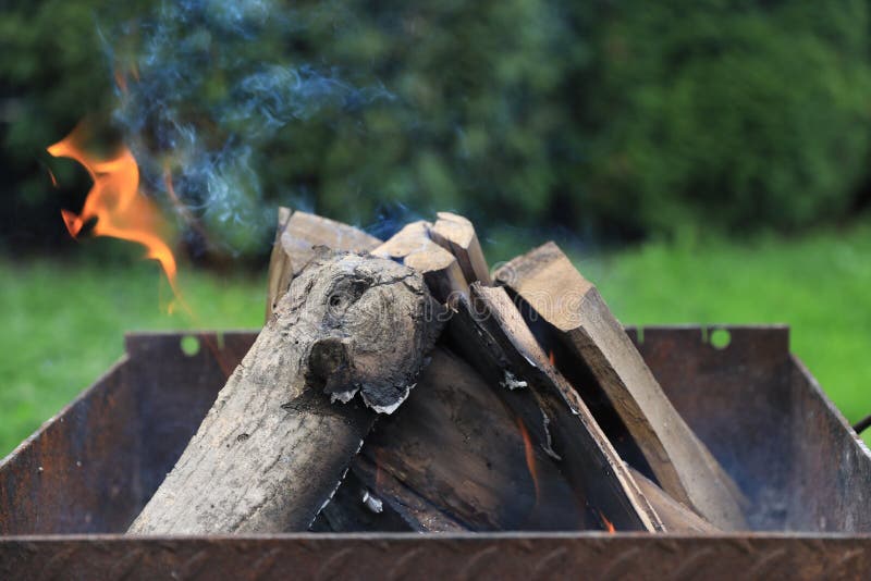 Brazier a Firewood is Burning in Barbecue for Grilling Meat Stock Image ...