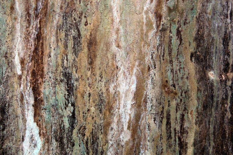 Blue Teal Patina Bronze Texture Stock Photo - Image of bronze, material ...