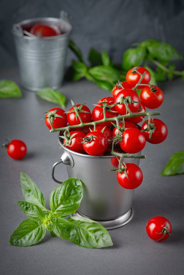 Metal Bucket with Red Ripe Cherry Tomatoes Stock Image - Image of ...