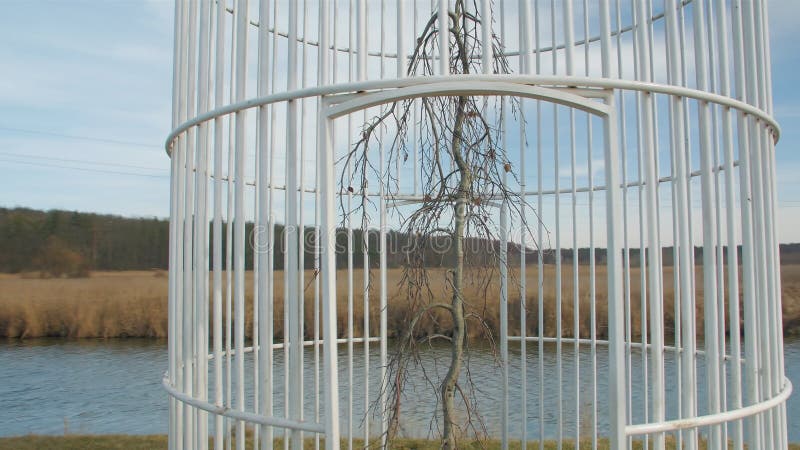 Metal Cage and Tree stock video. Video of environment - 214974027