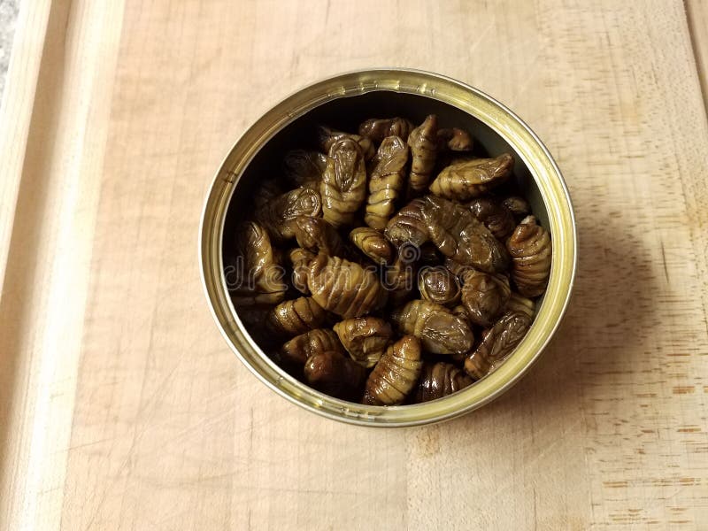 Canned Insects Stock Photos - Free & Royalty-Free Stock Photos from ...