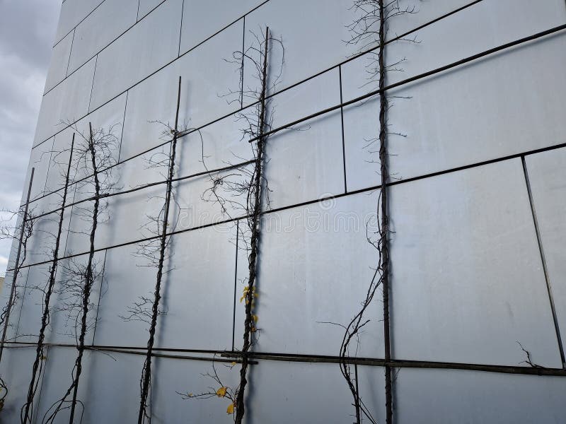 The Metal Cladding of the Facade of an Industrial Building is Supported ...