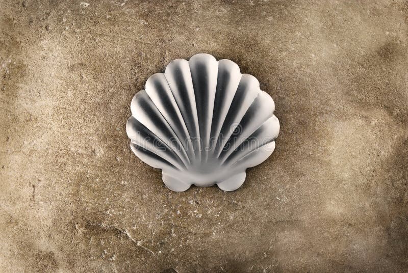 Metal clam. stock photo. Image of metal, wallpaper, seashell - 37682828