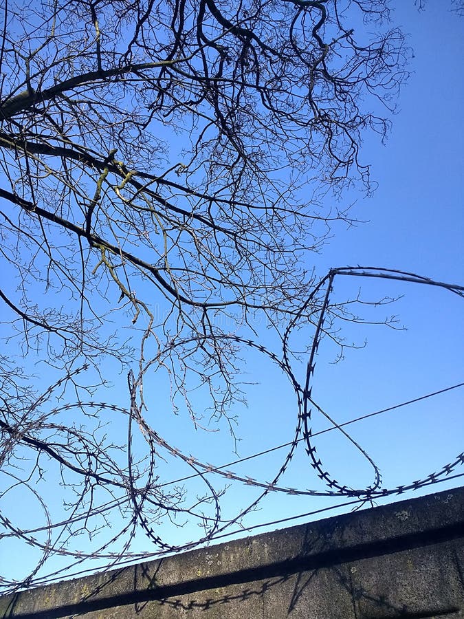 Metal Cord with Sharp Edges on a Wall Made of Rectangular Stones Under ...