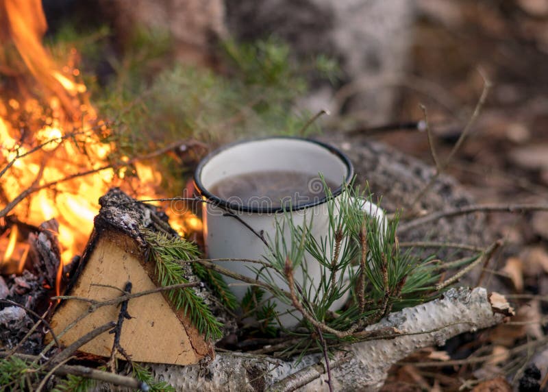 Metal Cup with Tea Heats by the Fire, Autumn Time, Burning Firewood ...