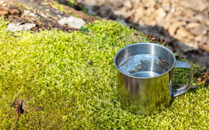 Metal Cup of Water on a Log in the Forest Stock Photo - Image of ...