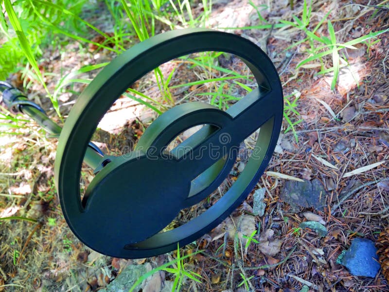 The Use of a Metal Detector on the Ground. Searching for Objects with a ...