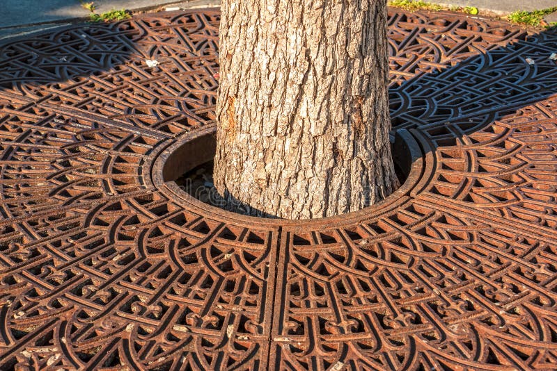 Metal Drainage Grate on the Sidewalk Around a Tree in Slovakia Stock ...