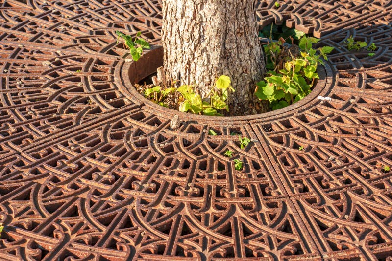 Metal Drainage Grate on the Sidewalk Around a Tree in Slovakia Stock ...