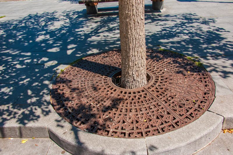 Metal Drainage Grate on the Sidewalk Around a Tree in Slovakia Stock ...