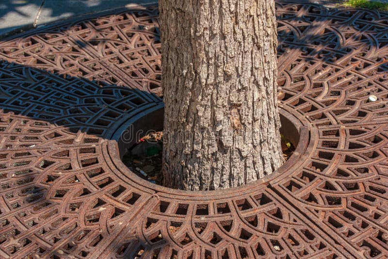 Metal Drainage Grate on the Sidewalk Around a Tree in Slovakia Stock ...