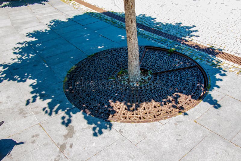 Metal Drainage Grate on the Sidewalk Around a Tree in Slovakia Stock ...