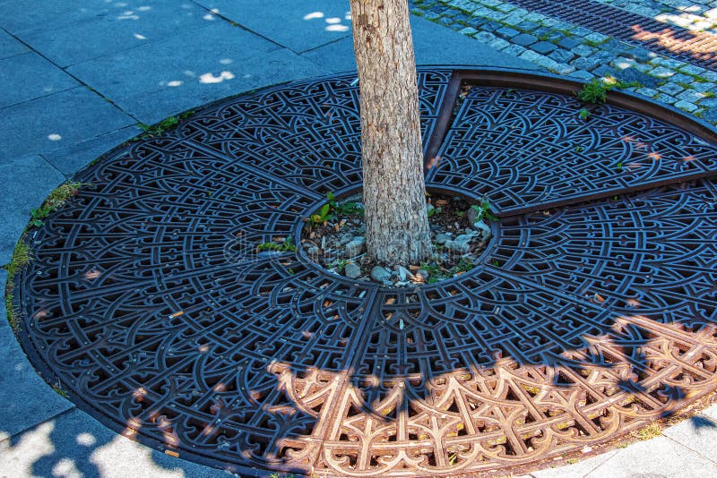 Metal Drainage Grate on the Sidewalk Around a Tree in Slovakia Stock ...