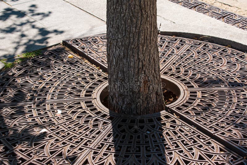 Metal Drainage Grate on the Sidewalk Around a Tree in Slovakia Stock ...